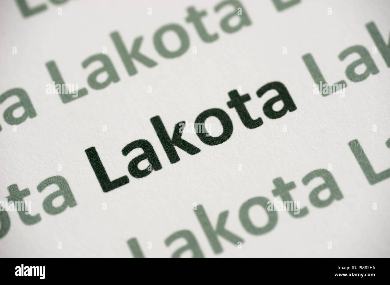 word Lakota language printed on white paper macro Stock Photo - Alamy