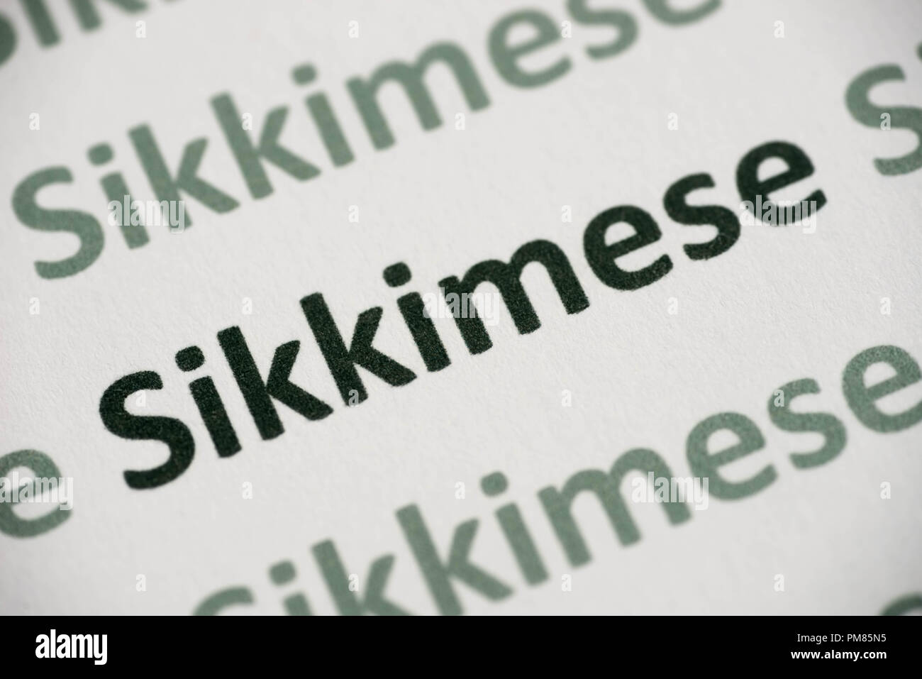 word Sikkimese language printed on white paper macro Stock Photo - Alamy