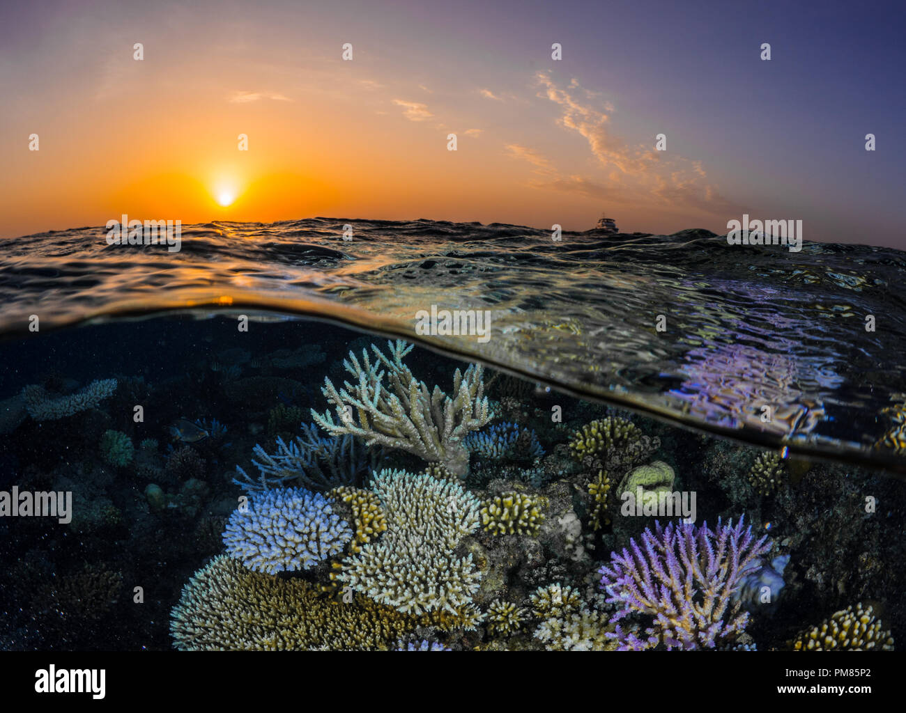 Coral sea sunset hi-res stock photography and images - Alamy