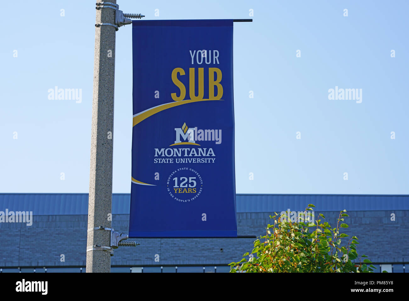 View of the campus of Montana State University in Bozeman, home of the ...