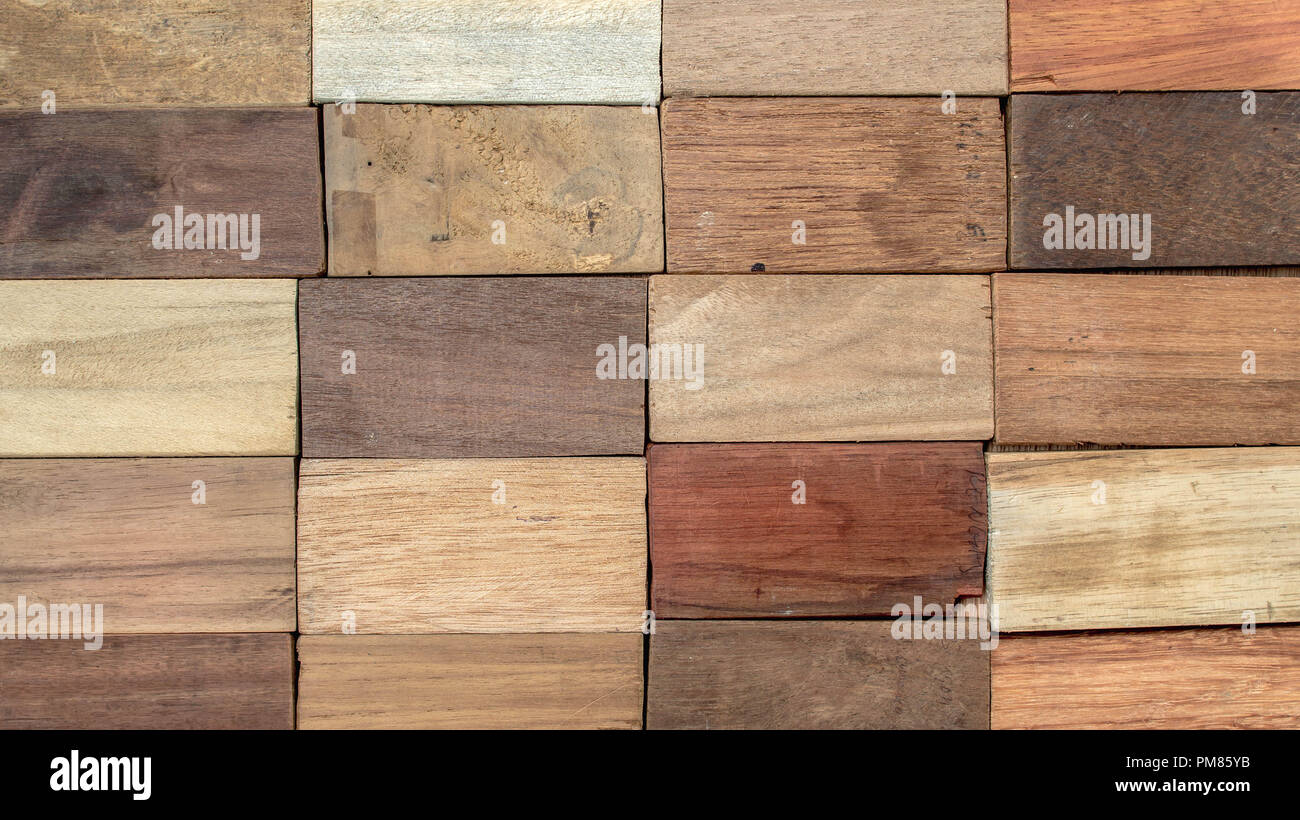 wood specimen from different tropical hardwood that grow in Indonesia ...