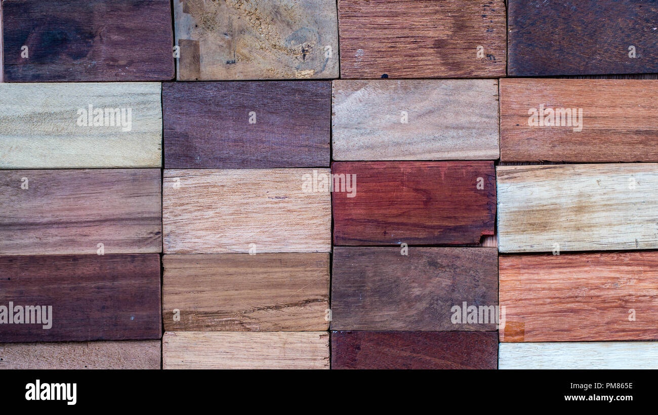 wood specimen from different tropical hardwood that grow in Indonesia ...