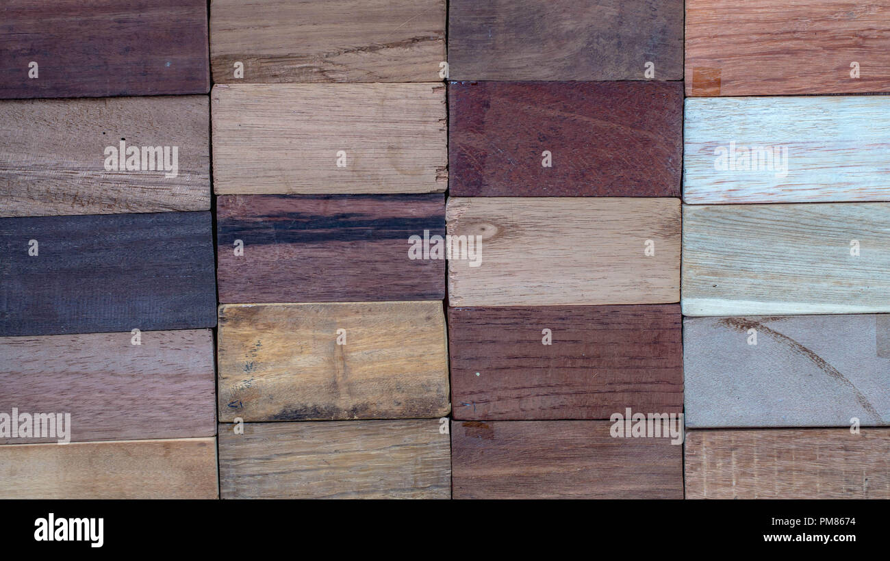 wood specimen from different tropical hardwood that grow in Indonesia ...