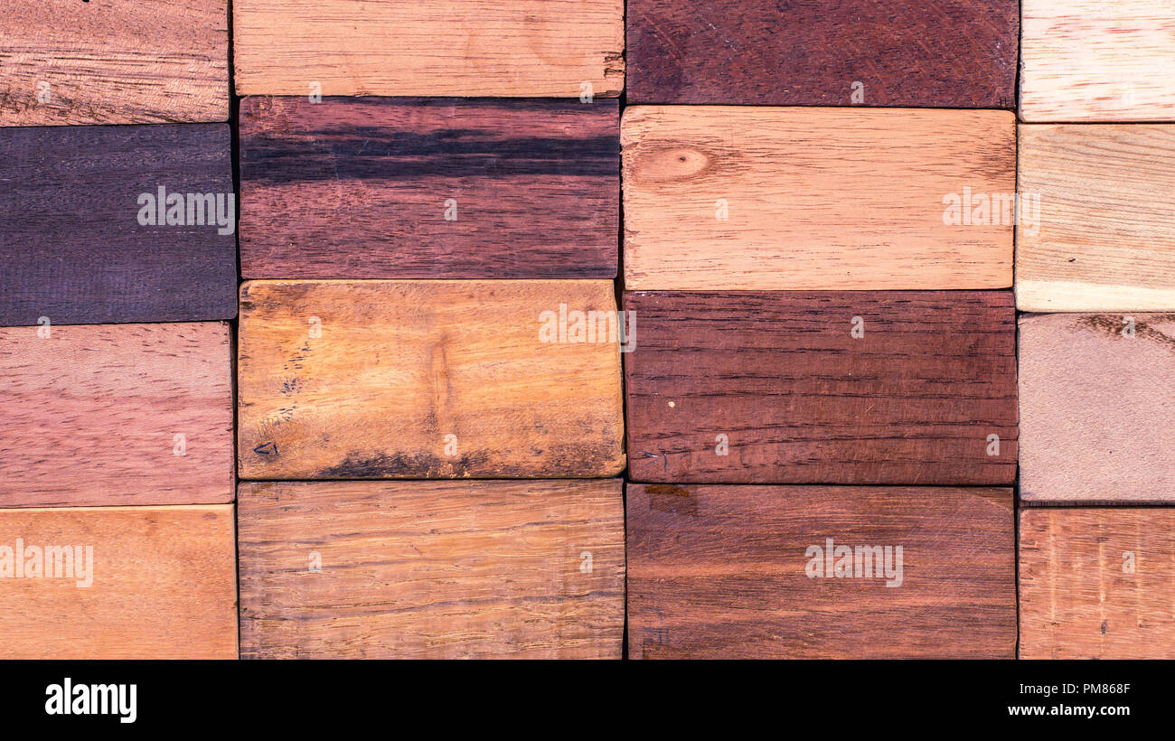 wood specimen from different tropical hardwood that grow in Indonesia ...