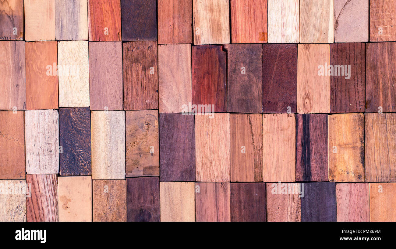 wood specimen from different tropical hardwood that grow in Indonesia ...