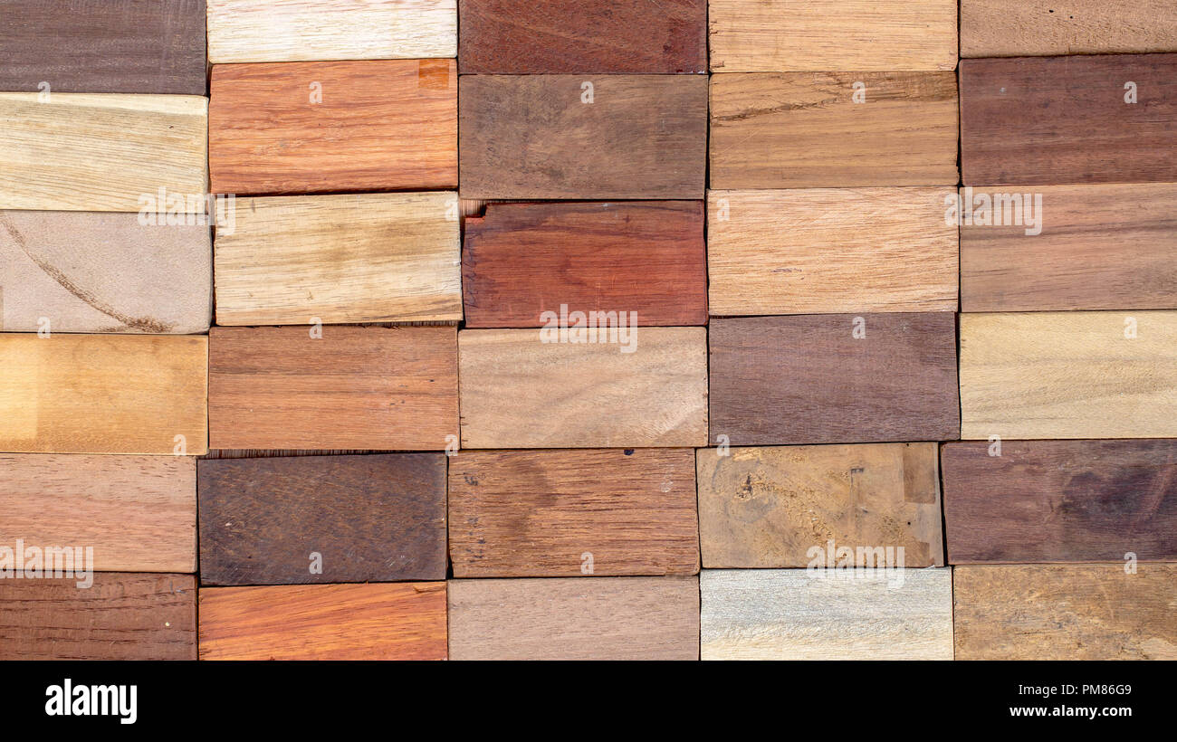 wood specimen from different tropical hardwood that grow in Indonesia ...