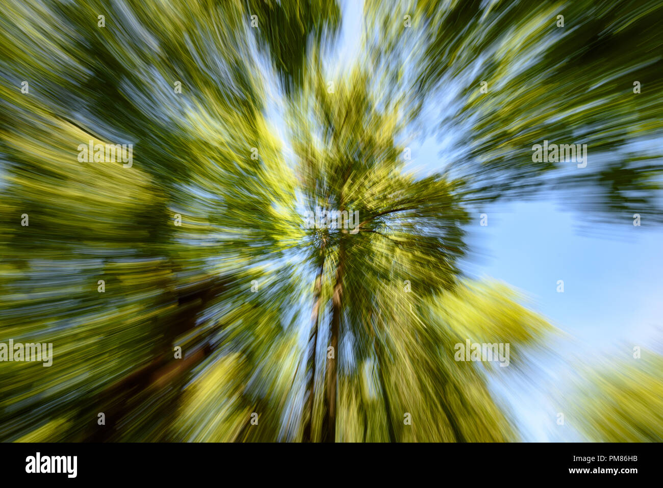 camera motion blur of summer textured background with shadows and ...