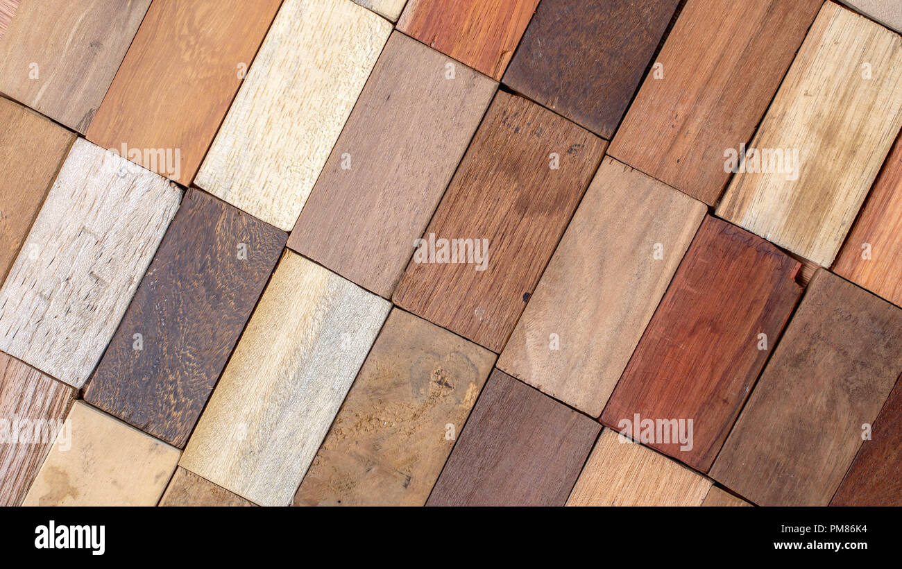 wood specimen from different tropical hardwood that grow in Indonesia ...