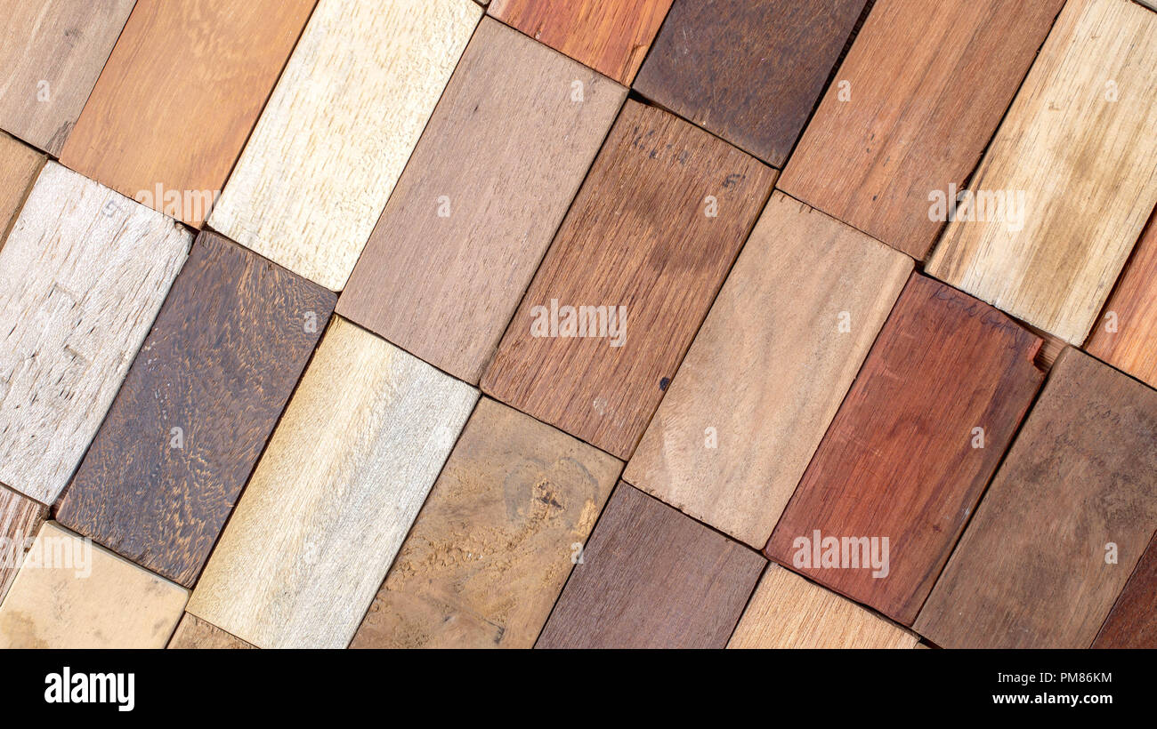wood specimen from different tropical hardwood that grow in Indonesia ...