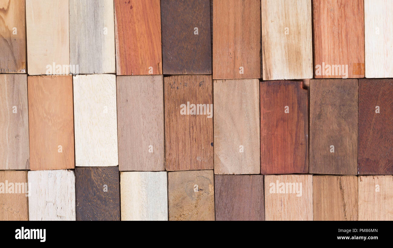 wood specimen from different tropical hardwood that grow in Indonesia ...