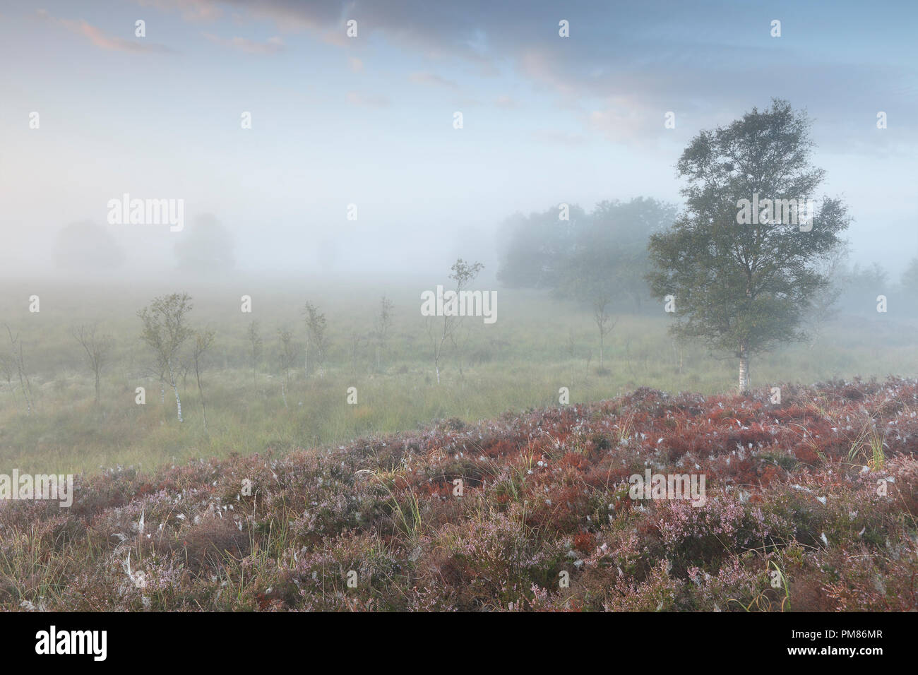 Red burned hi-res stock photography and images - Alamy