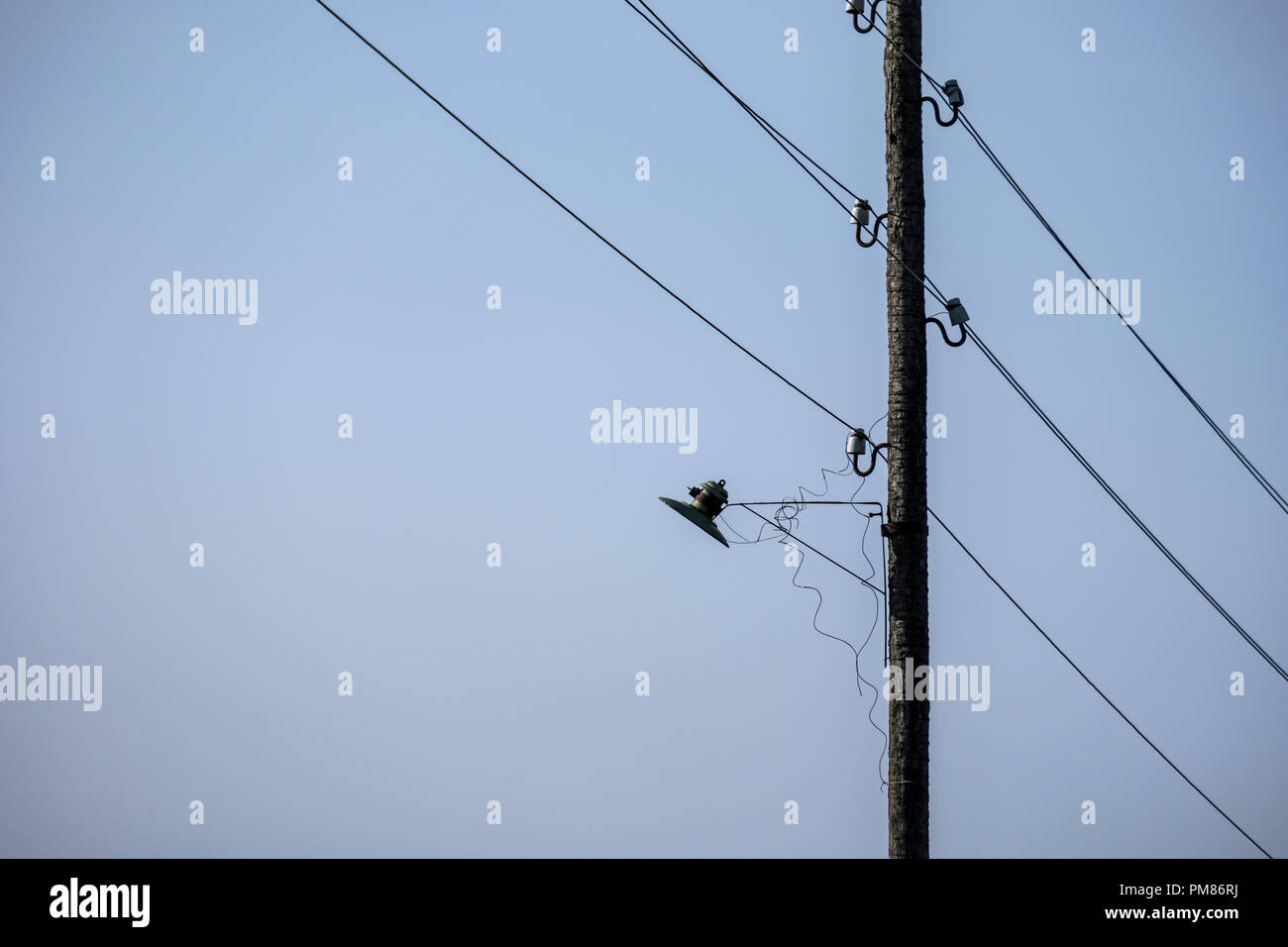 electricity poles with wires in countryside on a dark night sky Stock ...