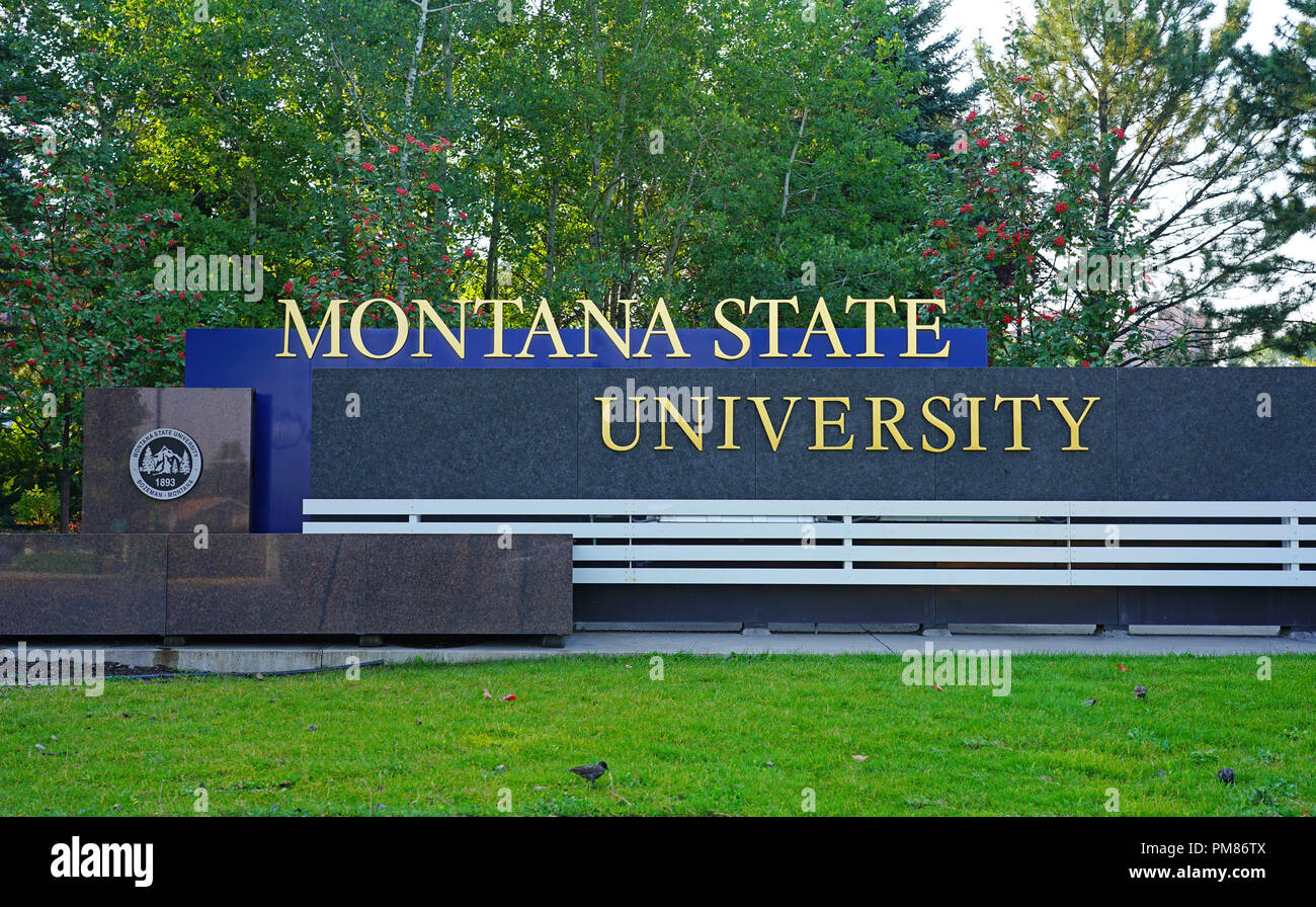 View of the campus of Montana State University in Bozeman, home of the ...