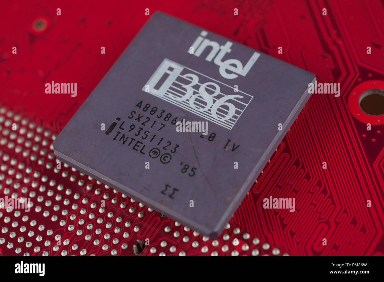 Processor bug hi-res stock photography and images - Alamy