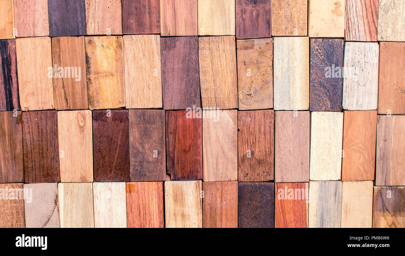 wood specimen from different tropical hardwood that grow in Indonesia ...