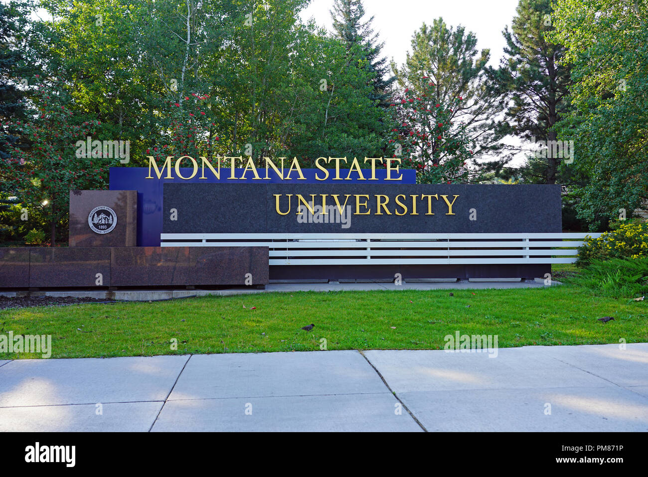 View of the campus of Montana State University in Bozeman, home of the ...