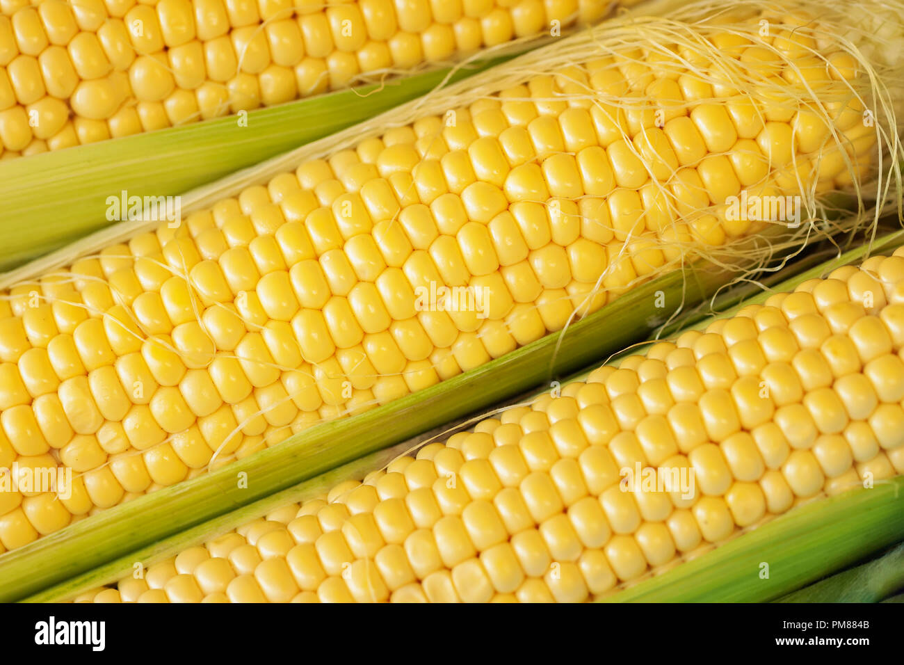 Sweet corn on stem close hi-res stock photography and images - Alamy