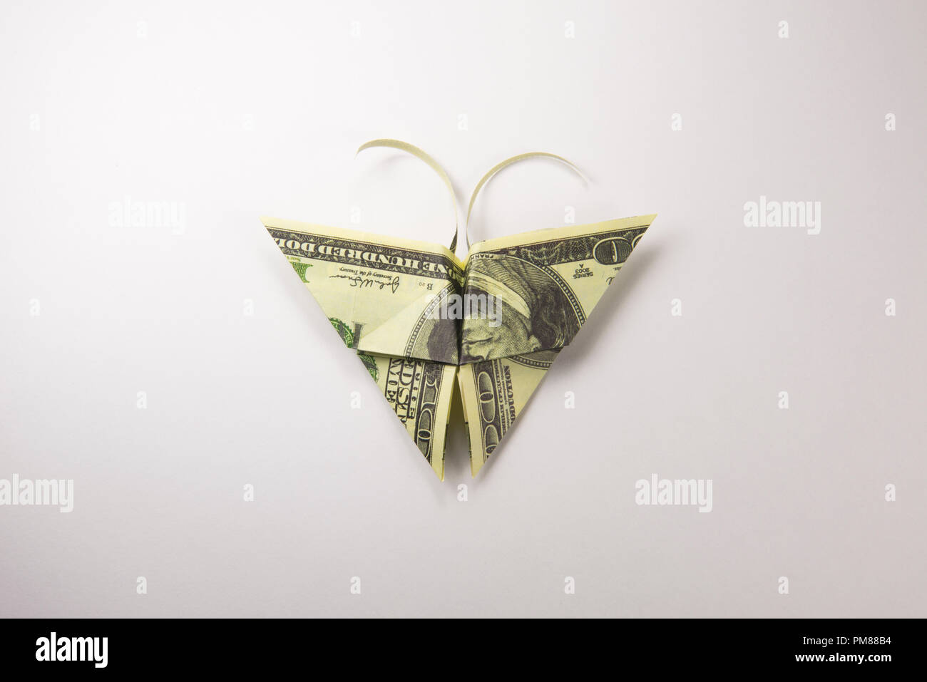 Dollar bill butterfly hi-res stock photography and images - Alamy