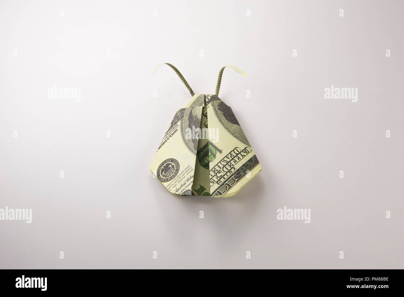 Dollar bill butterfly hi-res stock photography and images - Alamy