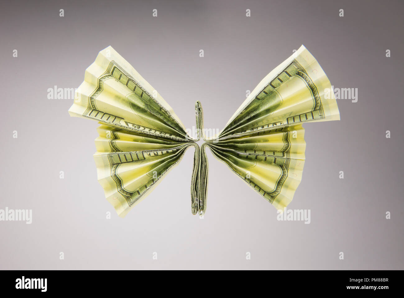 Dollar bill butterfly hi-res stock photography and images - Alamy