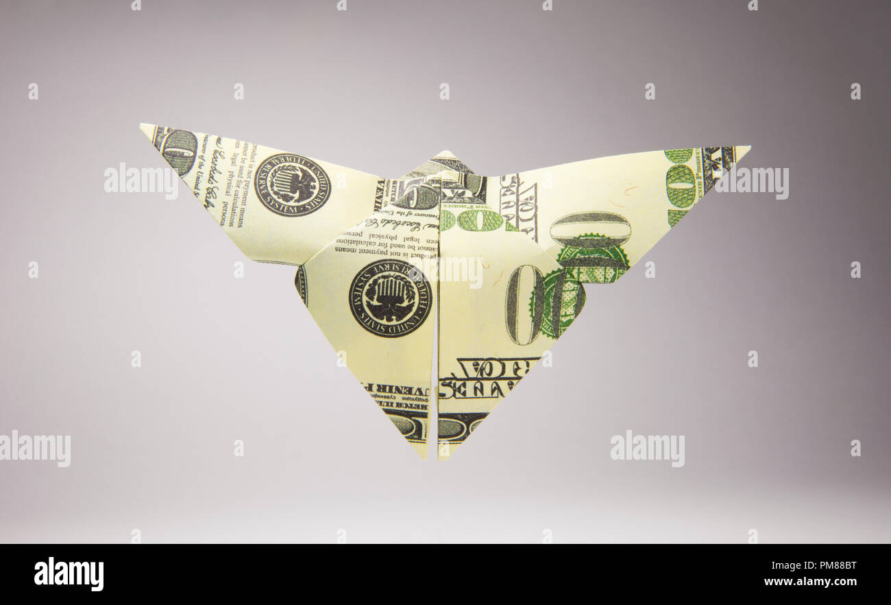 Dollar bill butterfly hi-res stock photography and images - Alamy