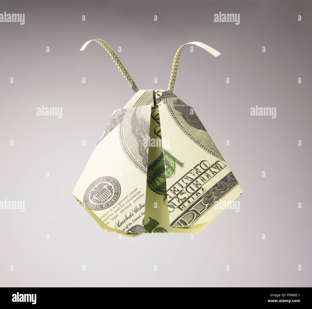 Dollar bill butterfly hi-res stock photography and images - Alamy