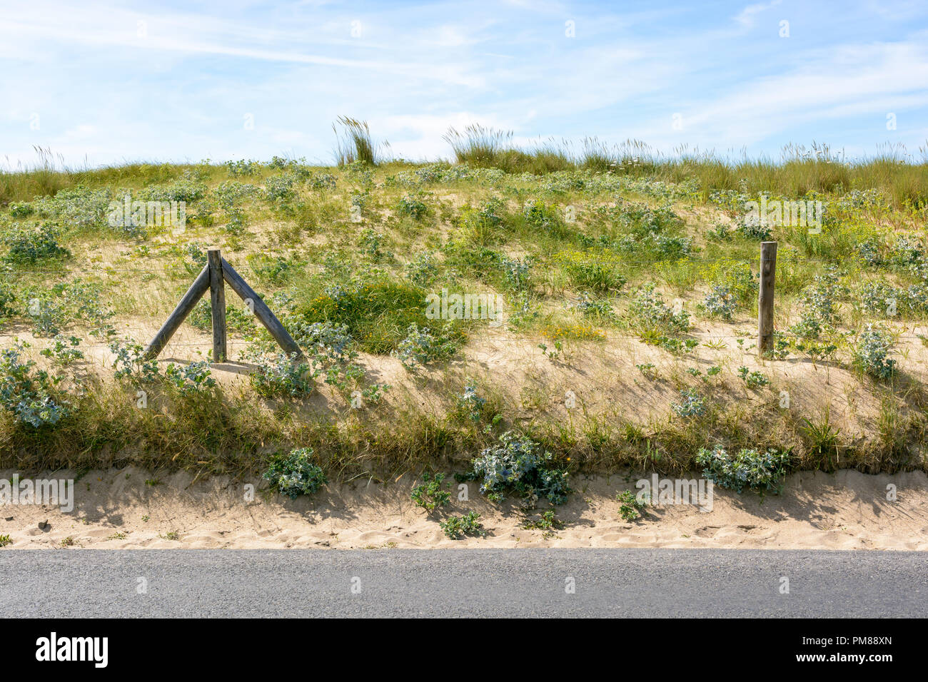 The sand dune between the du Guesclin beach and the seaside road ...