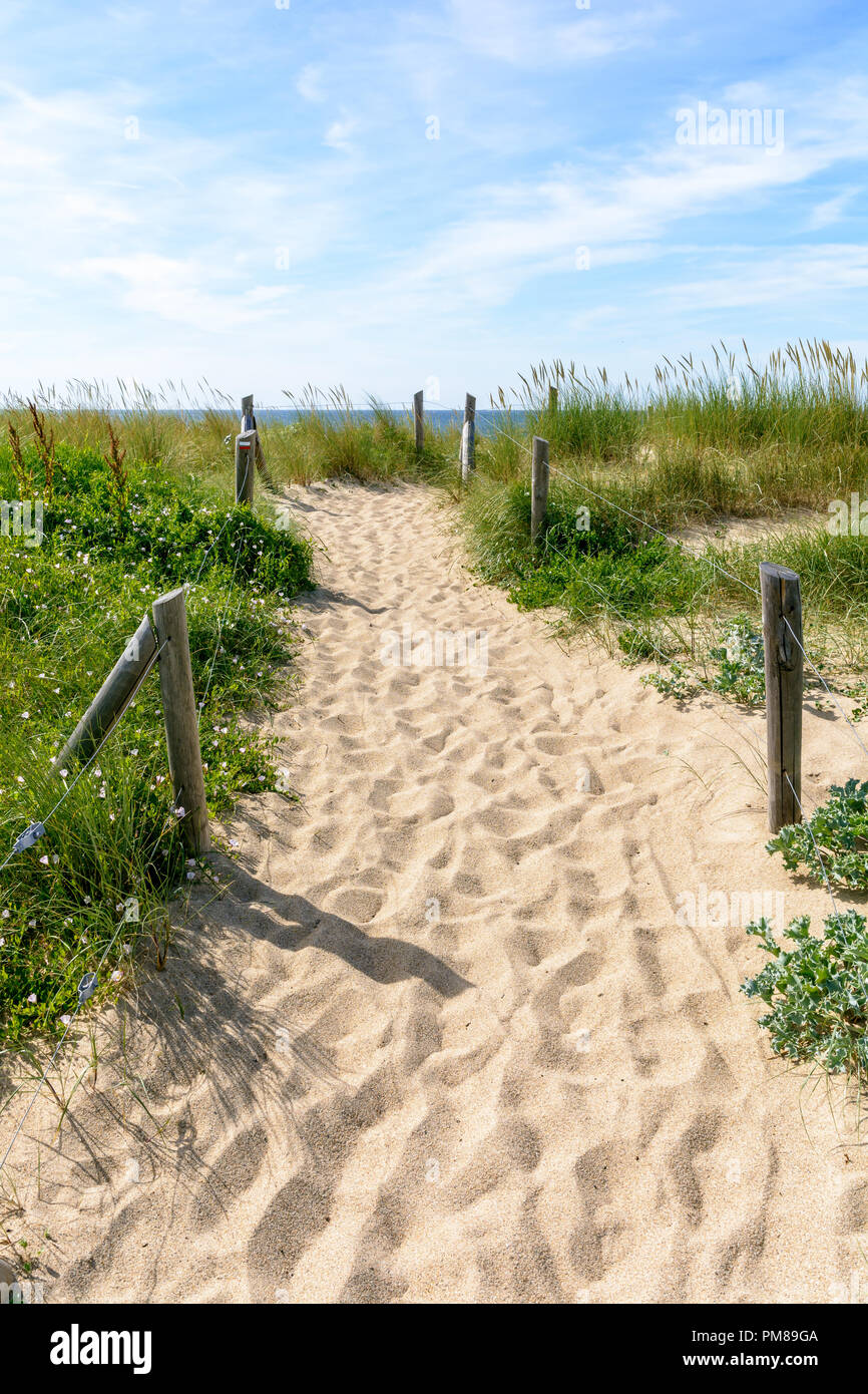 A pathway with footprints, delimited by a wire fence on the sand dune ...