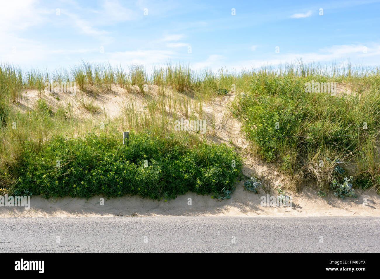 The sand dune between the du Guesclin beach and the seaside road ...
