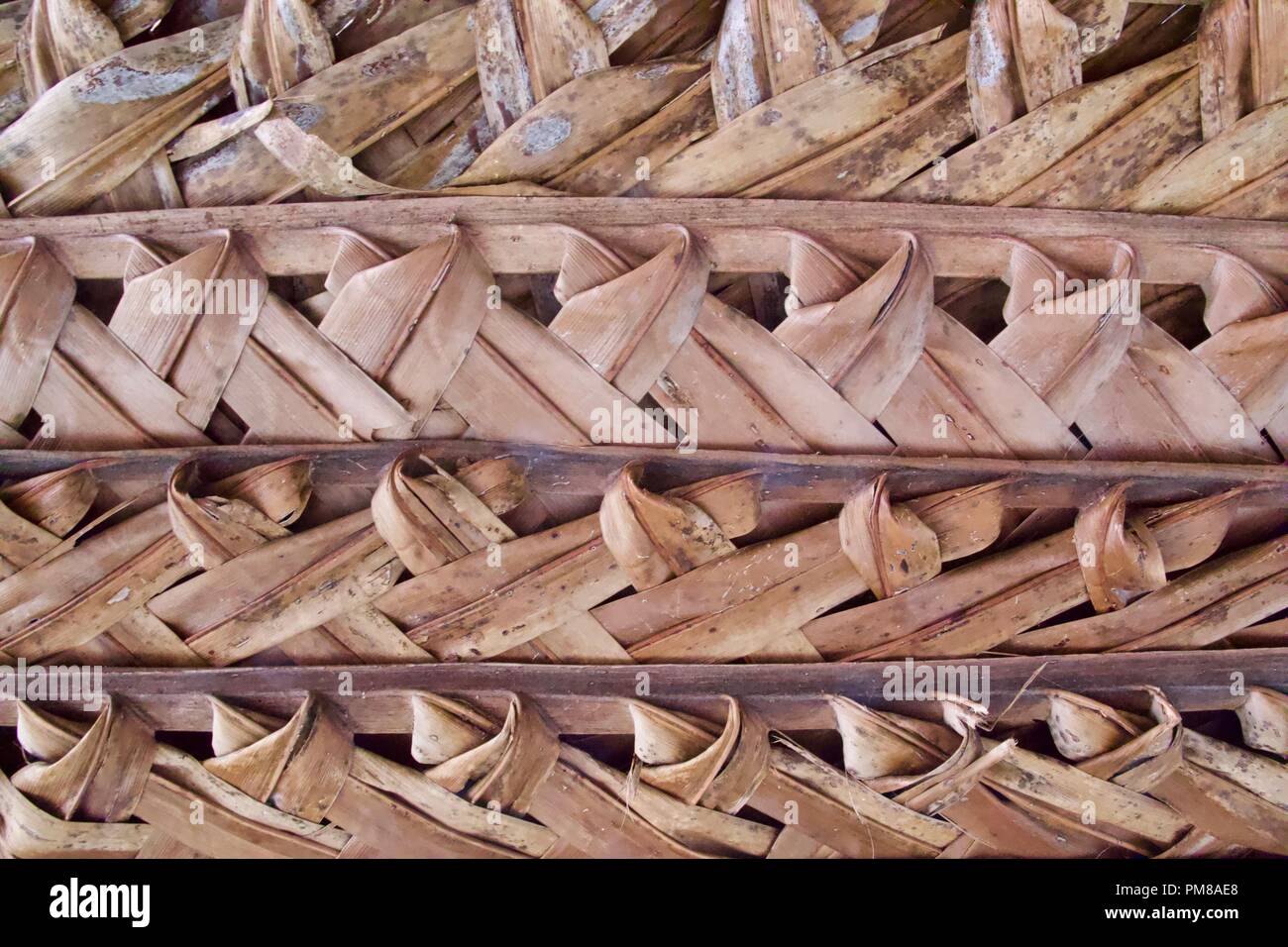 Thatch thatched thatching hi-res stock photography and images - Alamy