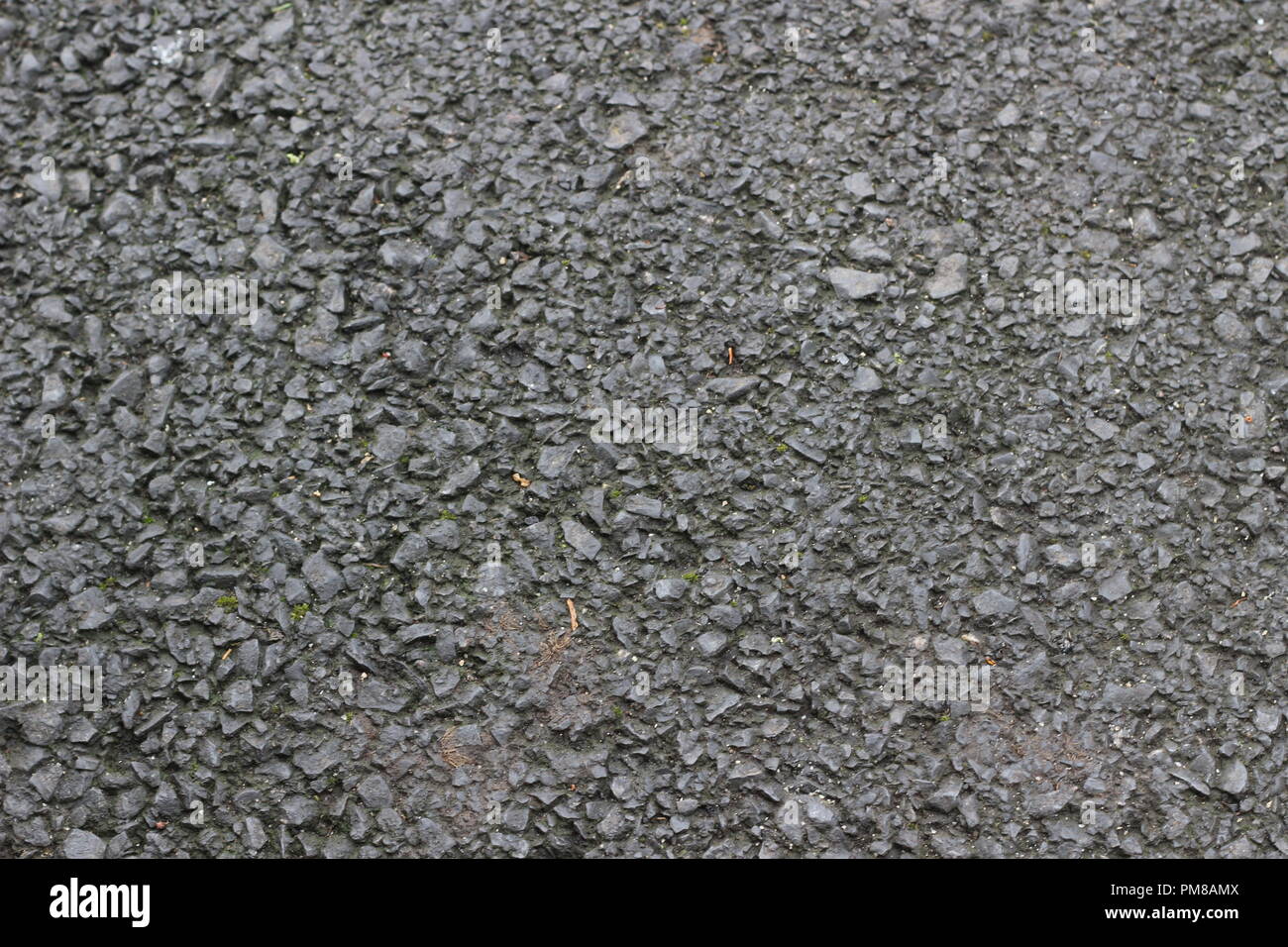 Spotted Slate High Resolution Stock Photography and Images - Alamy