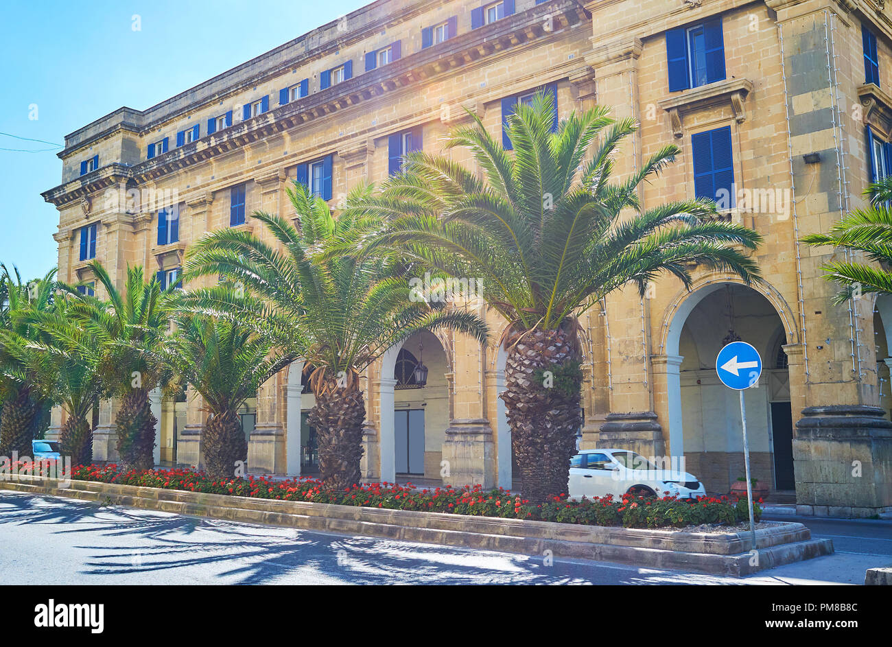 The central avenue of Floriana with row of palms in the middle and ...