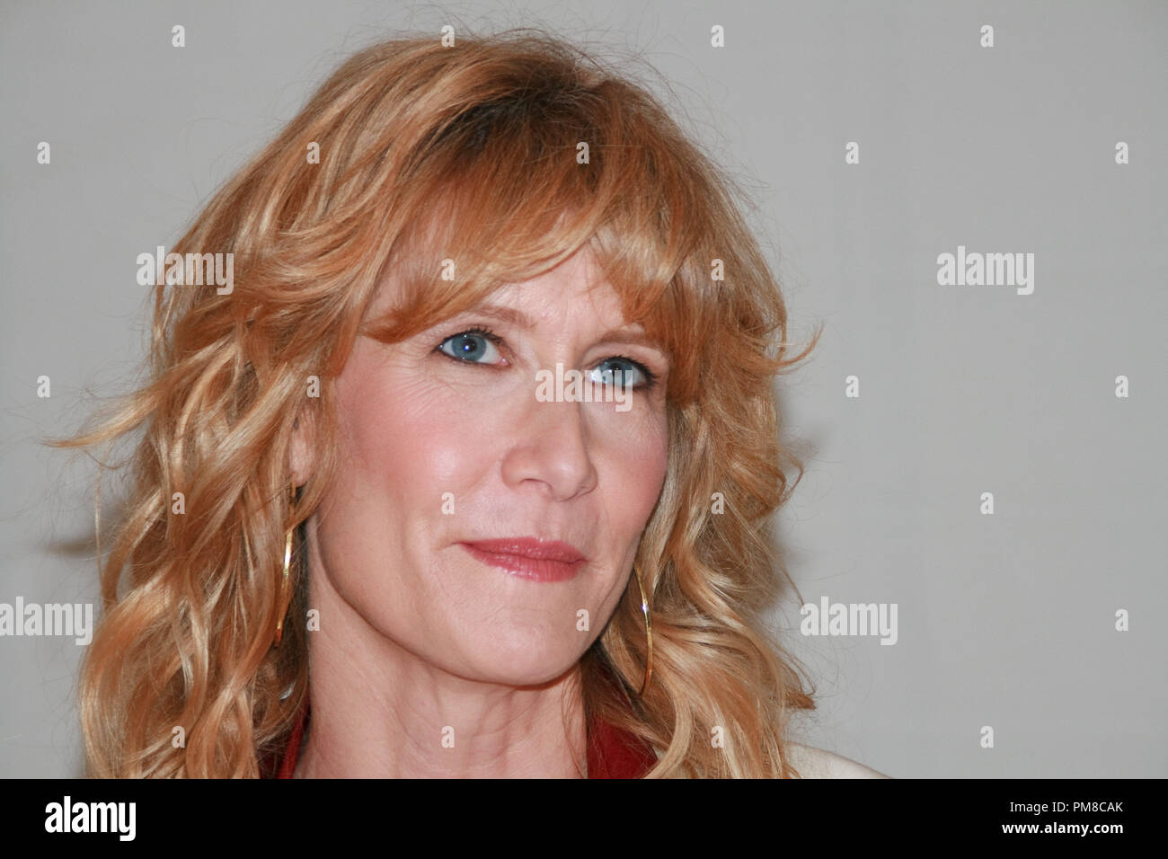 Laura Dern "Enlightened" TV Series Portrait Session, February 11, 2013 ...