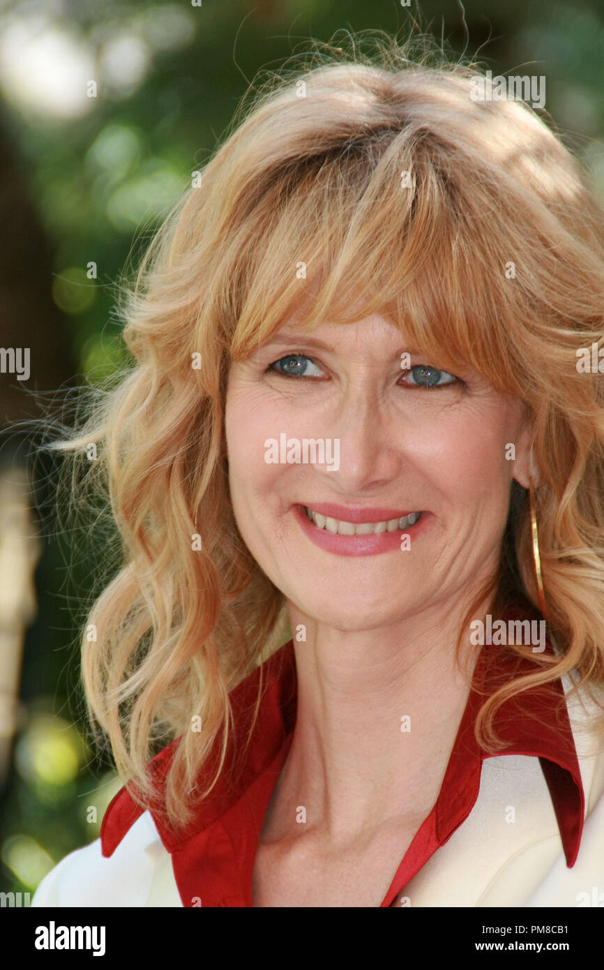 Laura Dern "Enlightened" TV Series Portrait Session, February 11, 2013 ...