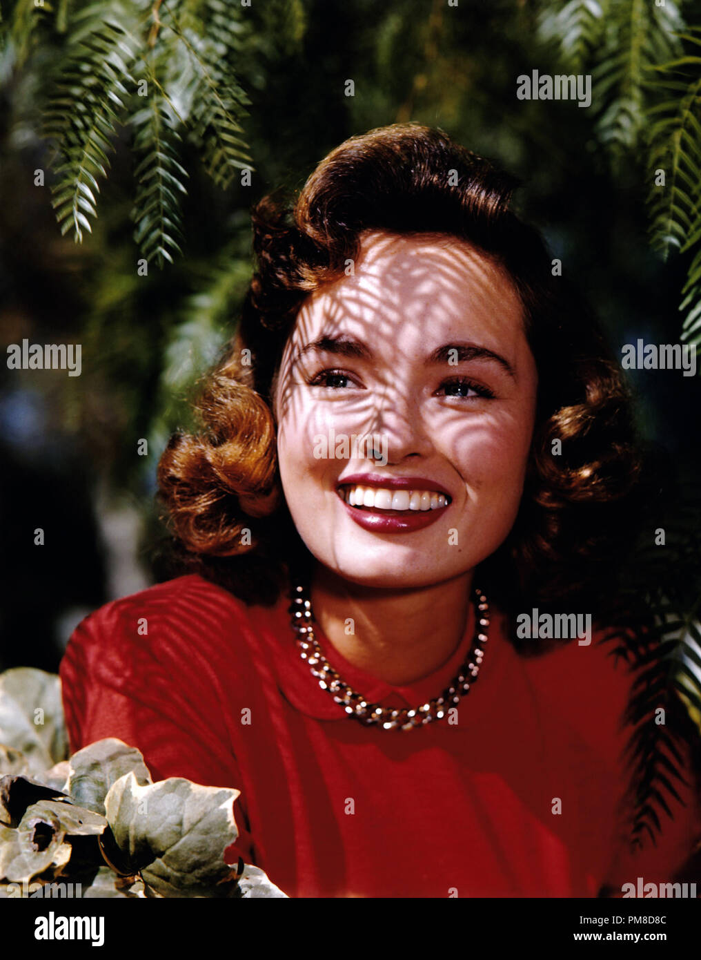 Ann Blythe, circa 1952 File Reference # 31955 372THA Stock Photo - Alamy