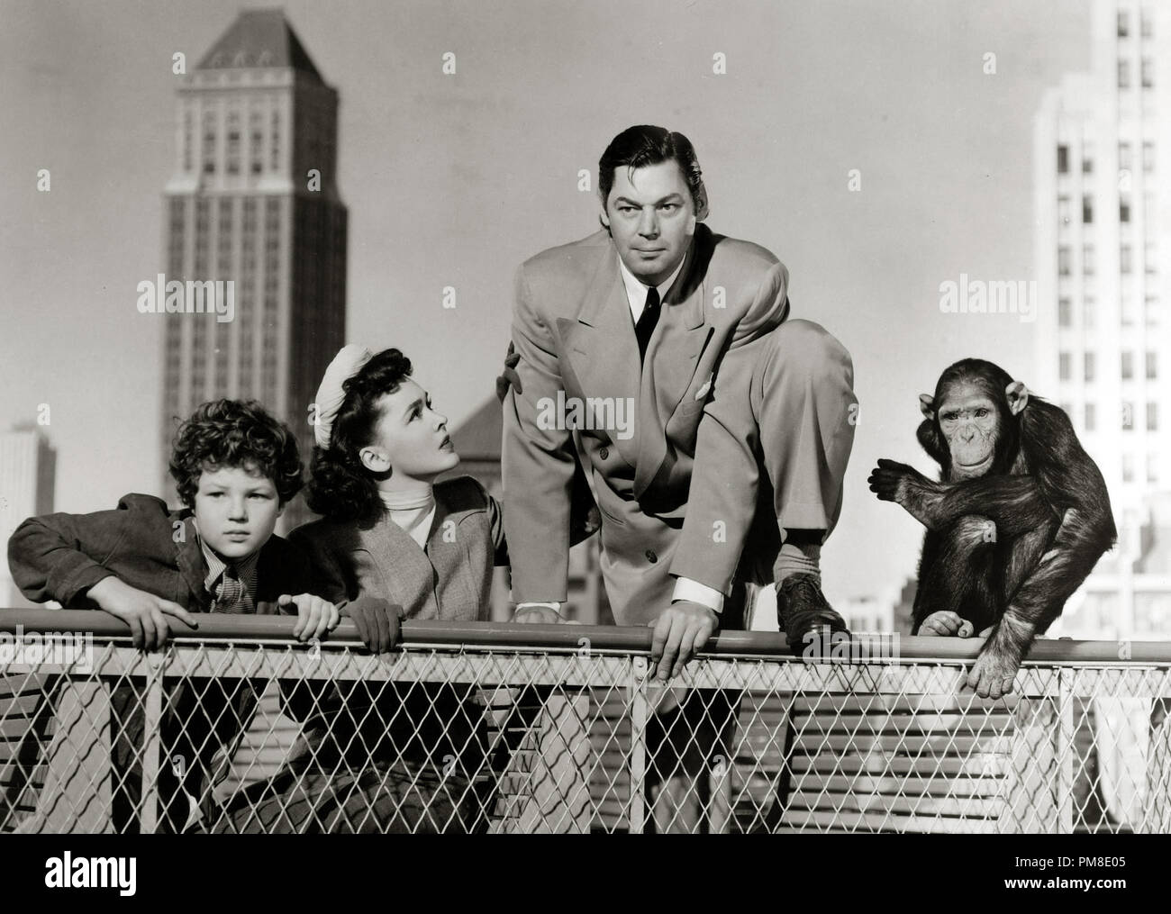 Johnny Weissmuller, Johnny Sheffield and Maureen O'Sullivan "Tarzan's ...