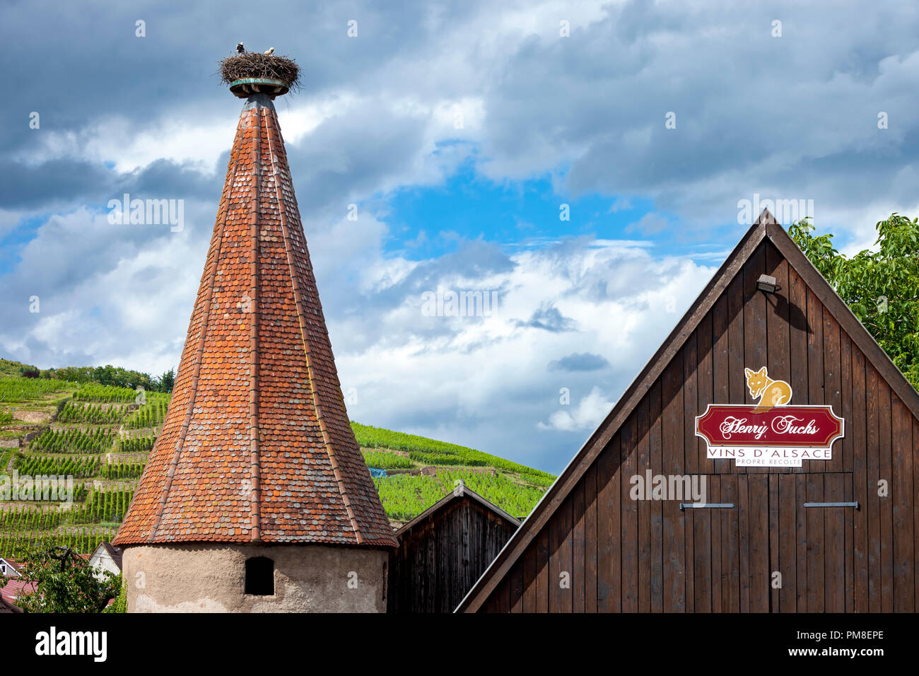 Stork nest alsace france hi-res stock photography and images - Alamy