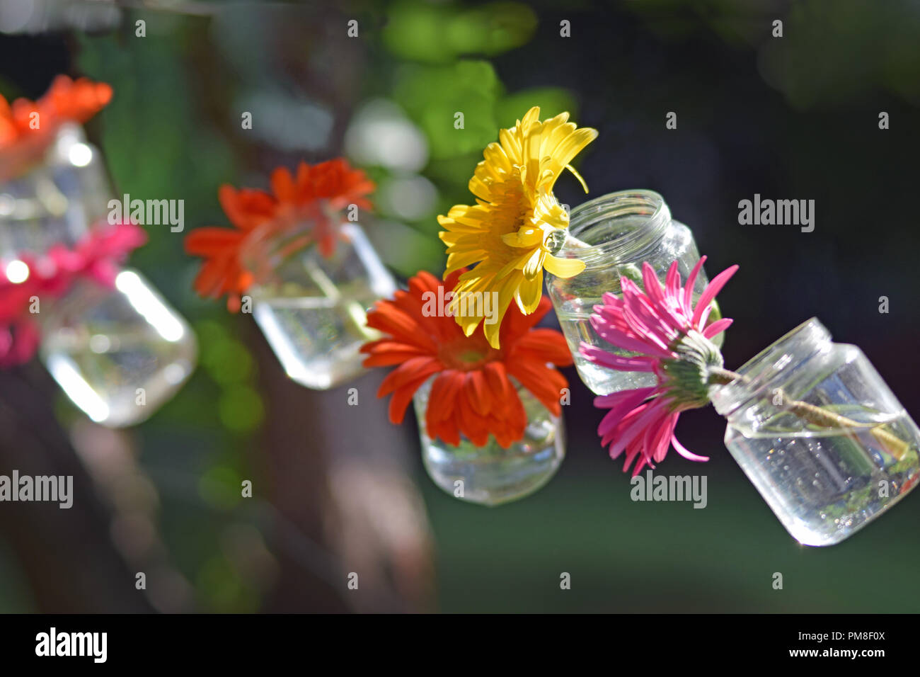 3d flying flowers in green hi-res stock photography and images - Alamy
