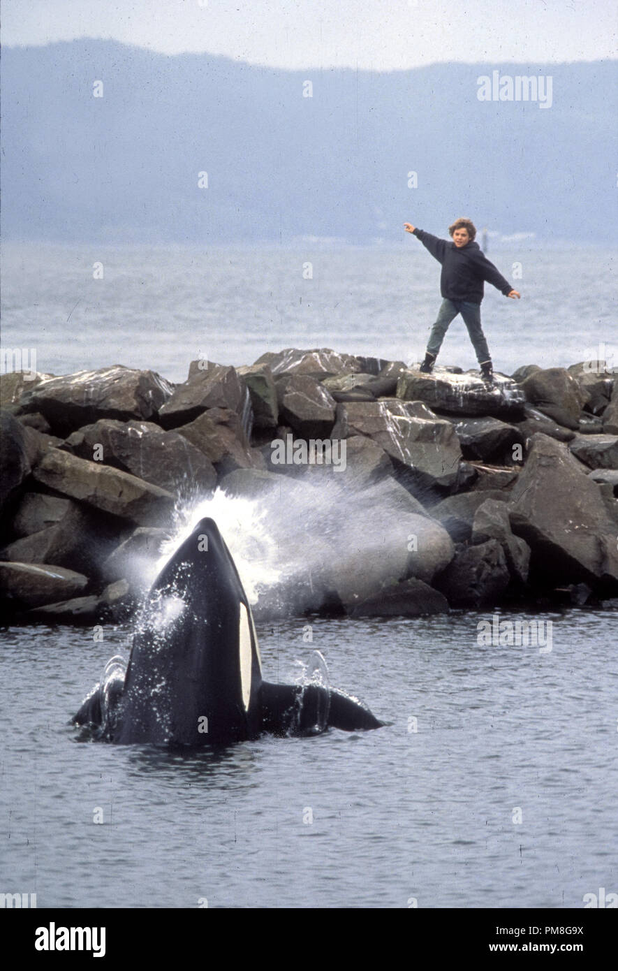 Free willy hi-res stock photography and images - Alamy