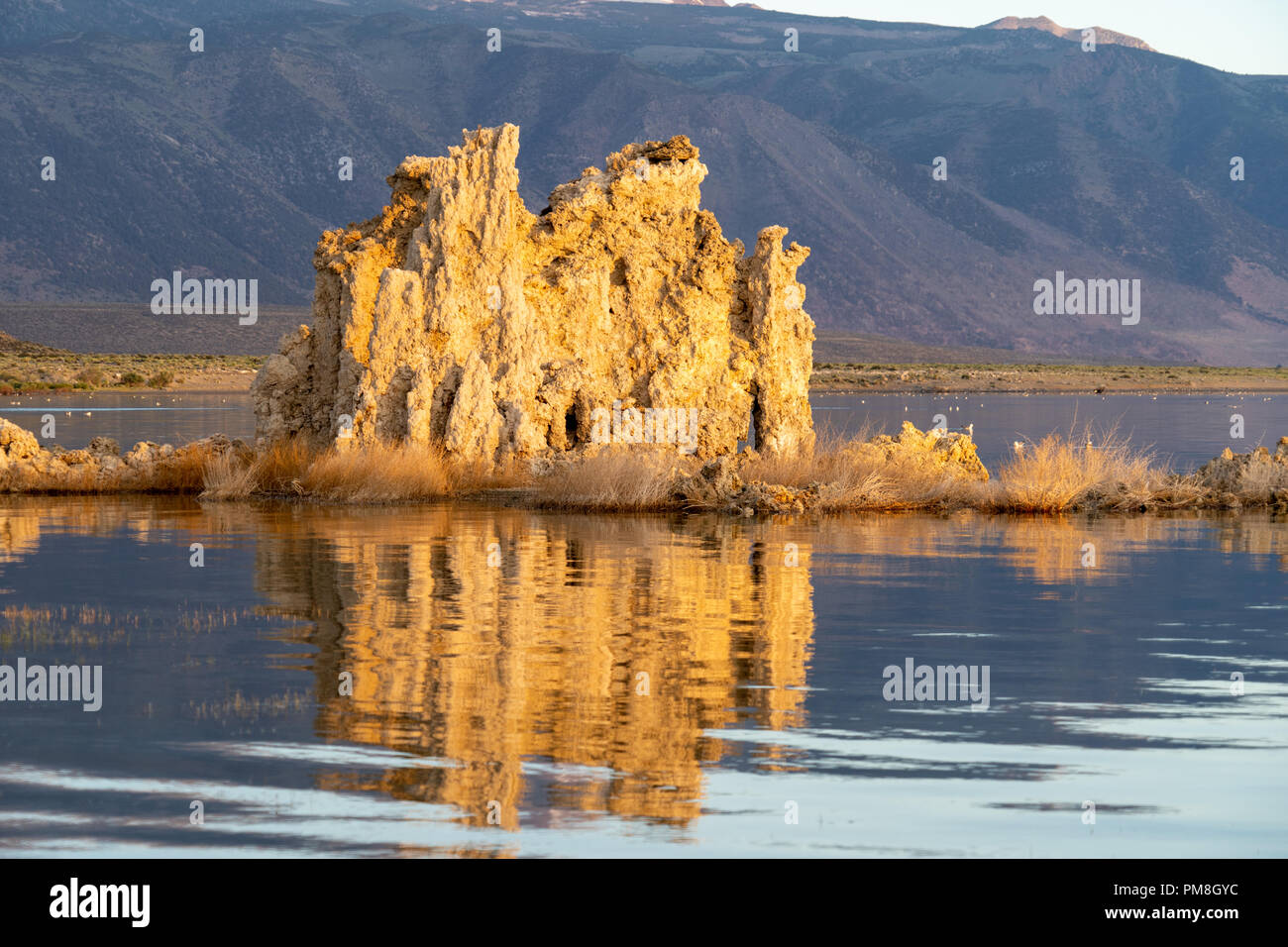 Mono County California, in the Eastern Sierra Nevada mountains Stock ...