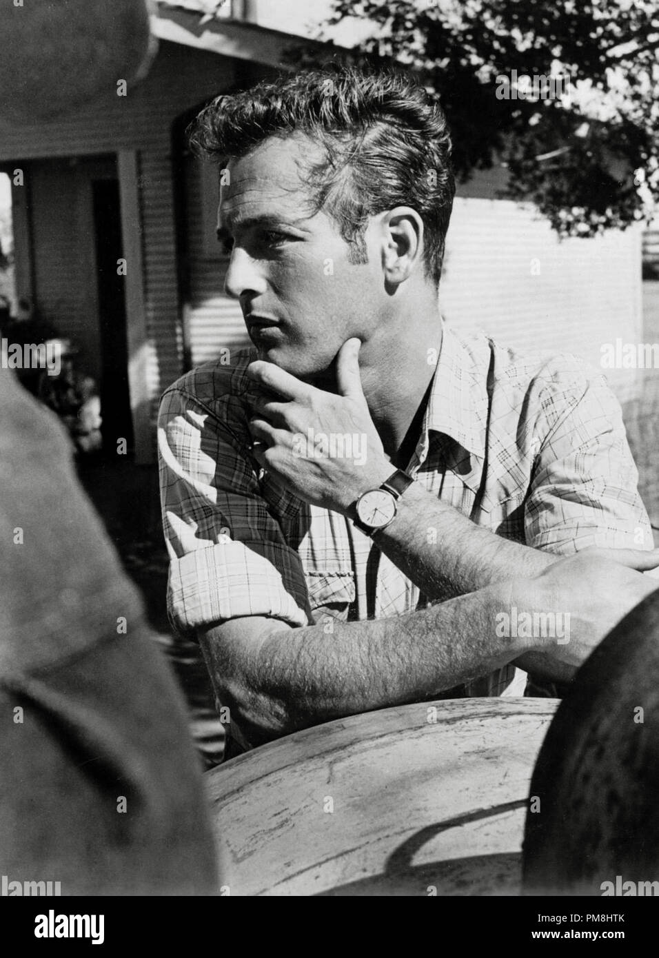 (Archival Classic Cinema - Paul Newman Retrospective) Paul Newman ...
