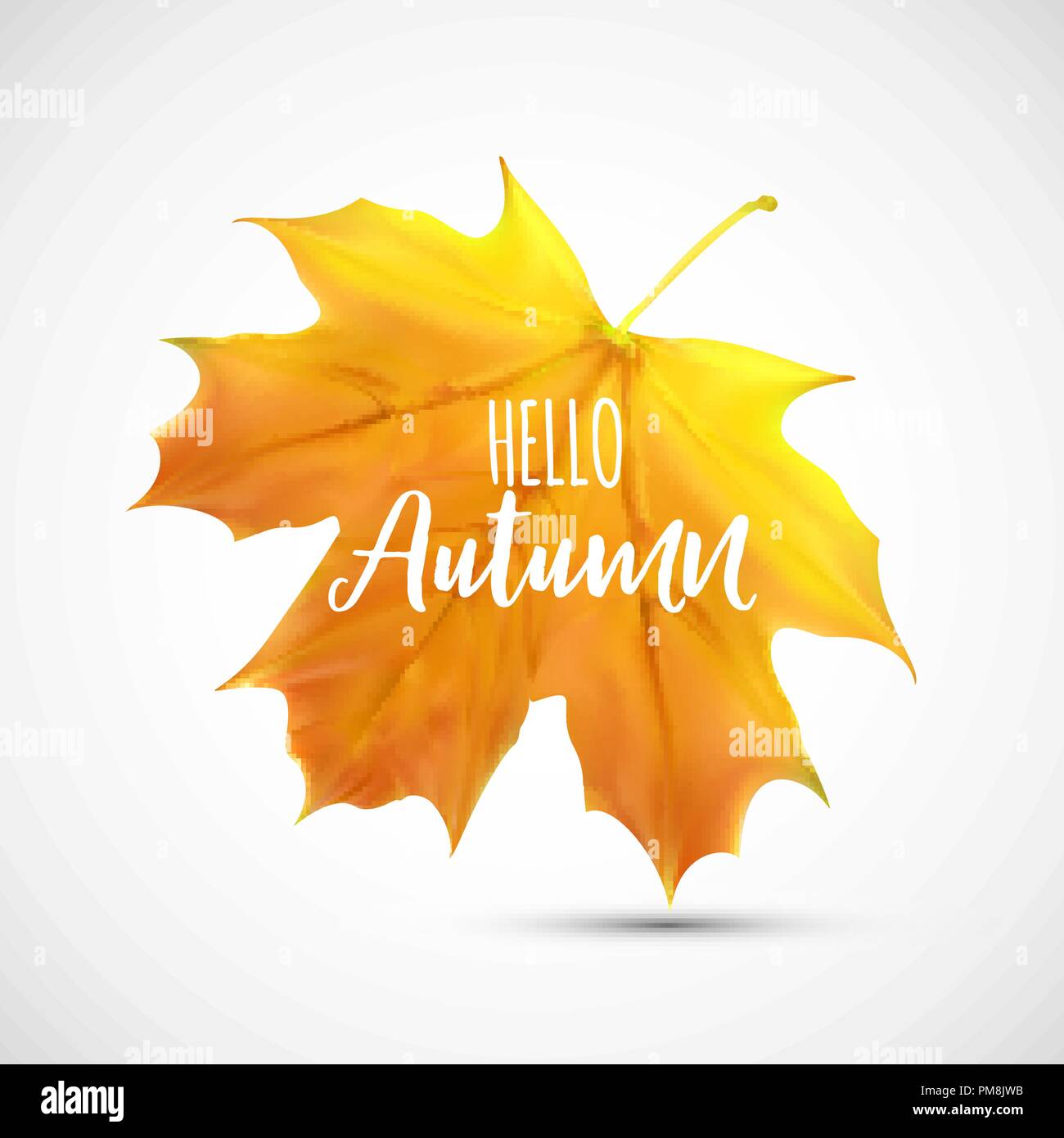 Shiny Hello Autumn Natural Leaves Background. Vector Illustration Stock ...