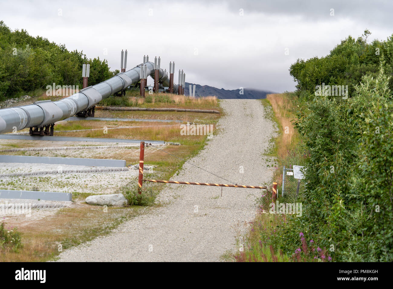 View of the Trans Alaska Pipeline from Delta Junction Alaska Stock ...