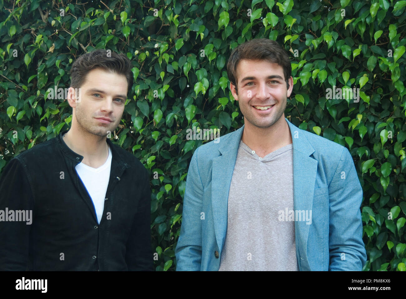 Sebastian Stan Political Animals