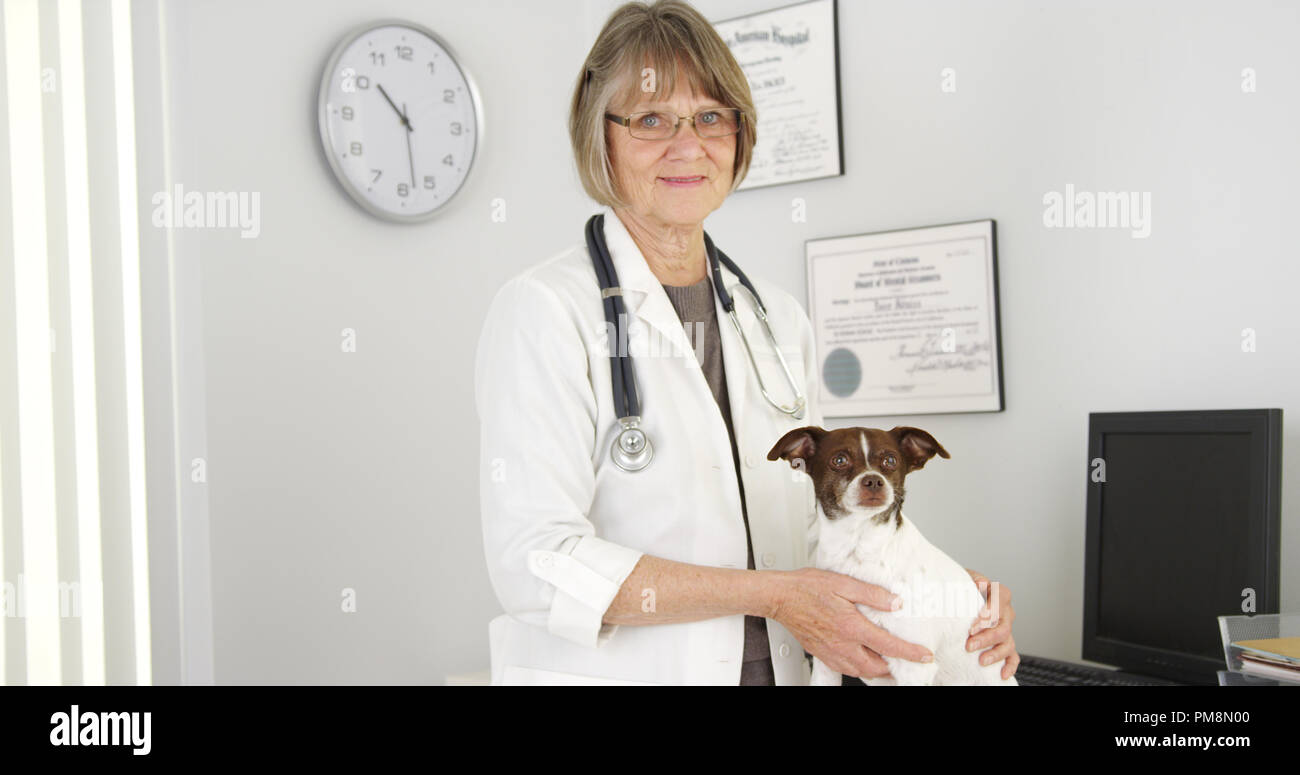 Healthy dog with female professional veterinarian doctor Stock Photo ...