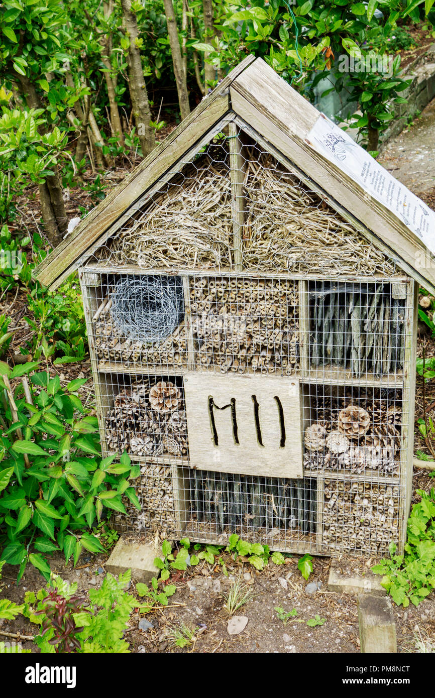 Frogs and insects hi-res stock photography and images - Alamy