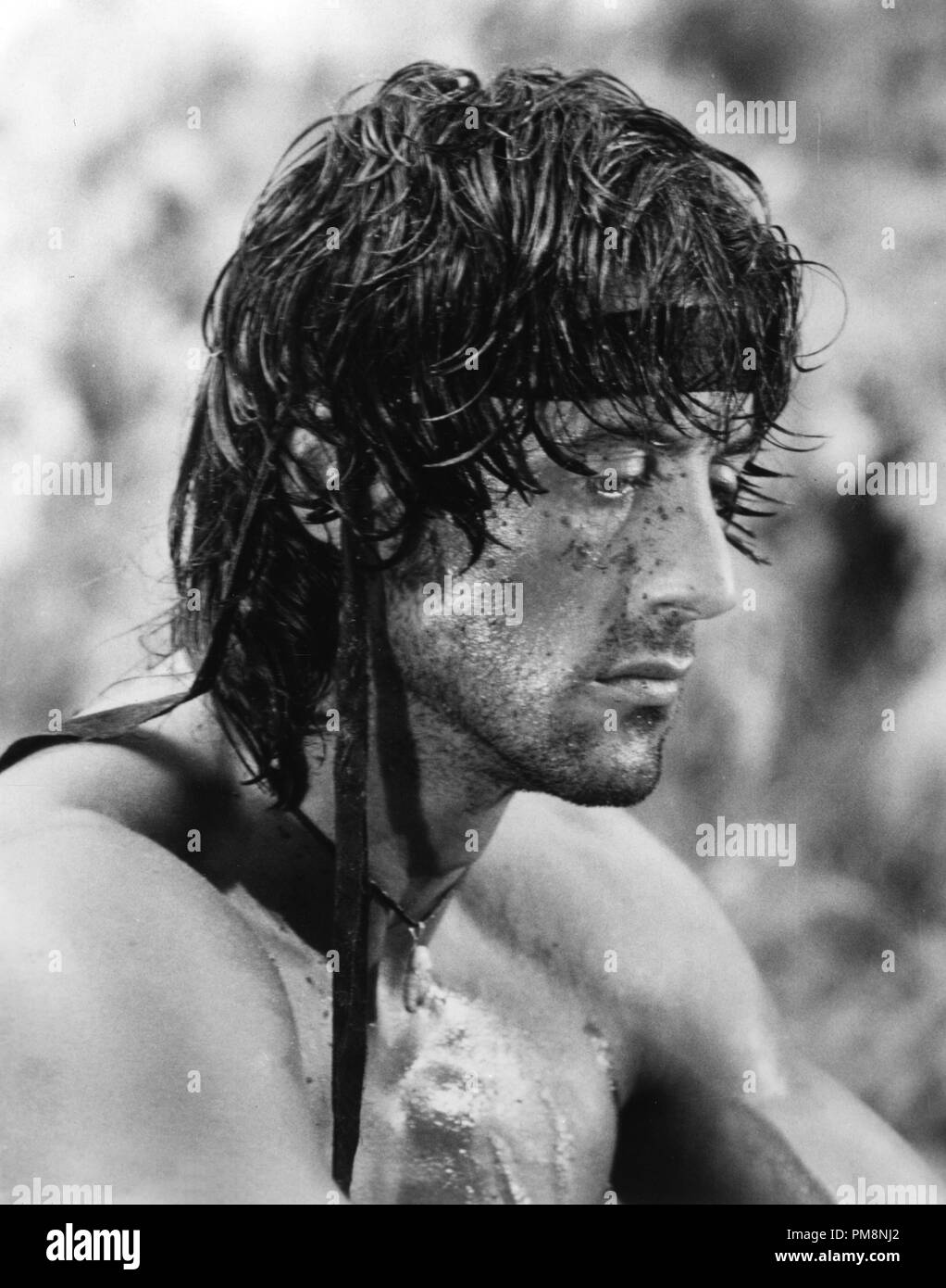 First blood sylvester stallone hi-res stock photography and images - Alamy
