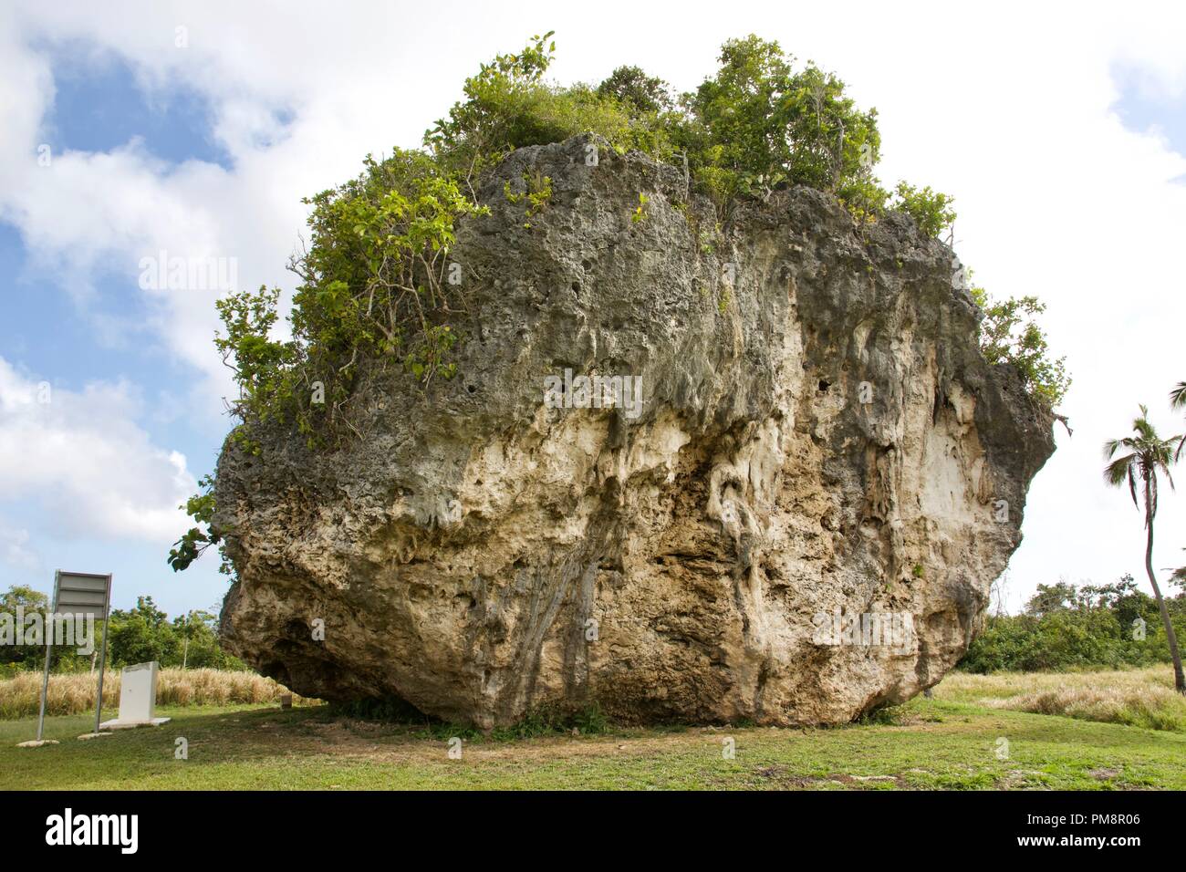 Tsunami Rock in Tonga is a large coral boulder bought 100m inland by a ...