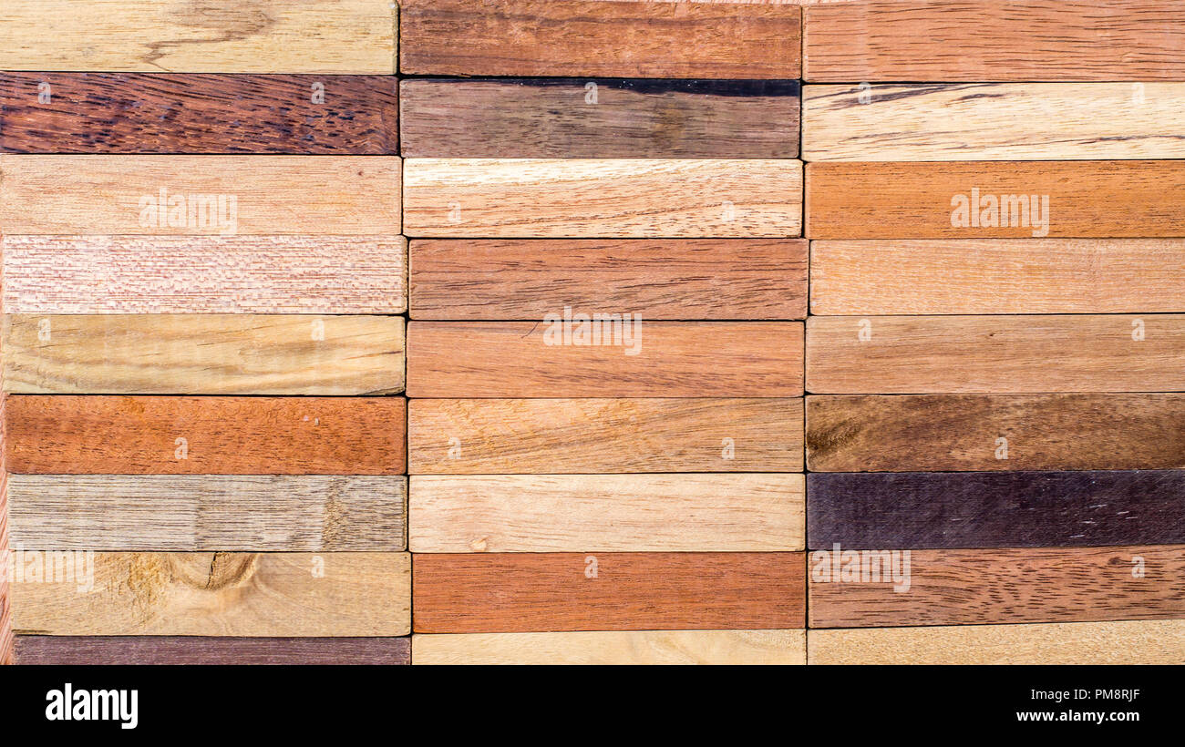 wood specimen from different tropical hardwood that grow in Indonesia ...