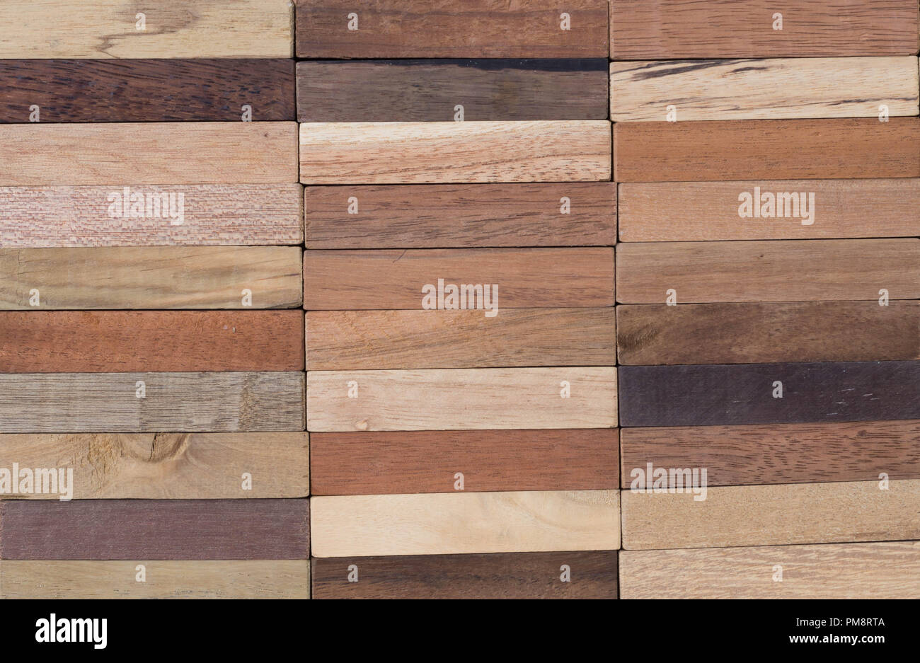 wood specimen from different tropical hardwood that grow in Indonesia ...